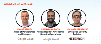 Cloud data analytics platform, Security, Digital Ops | Netenrich