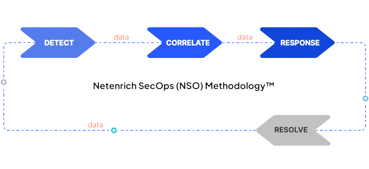 Datasheets | Netenrich